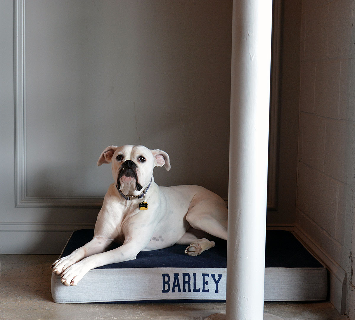 First Look: The ASW Distillery | Red Clay Soul