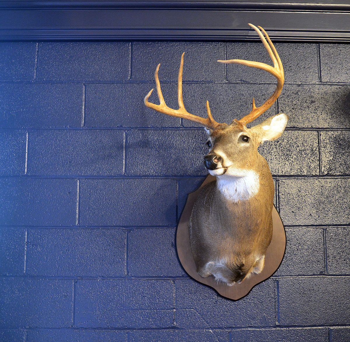 First Look: The ASW Distillery | Red Clay Soul