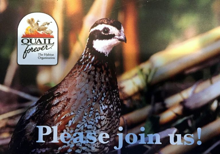 Quail Forever Workshop: Atlanta Chapter | Red Clay Soul