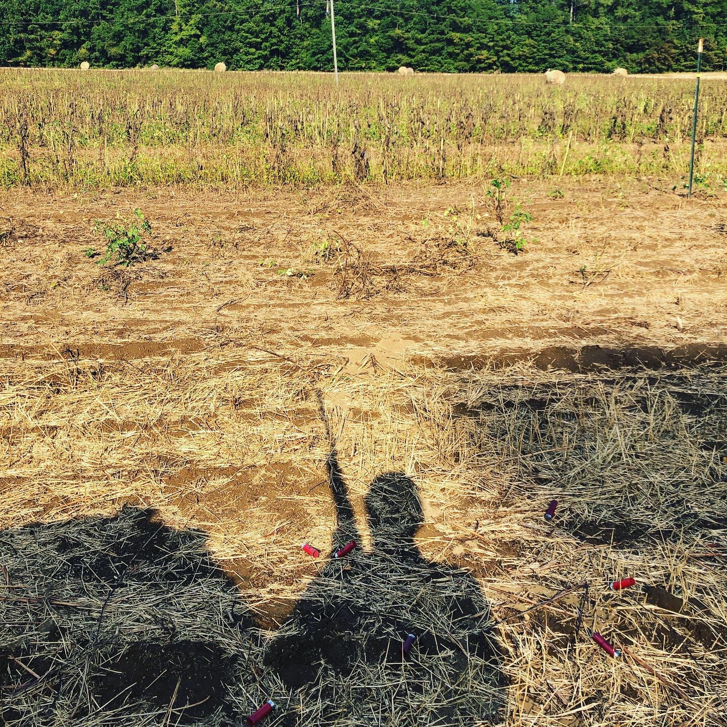 Jam Out with Turtlebox | Red Clay Soul