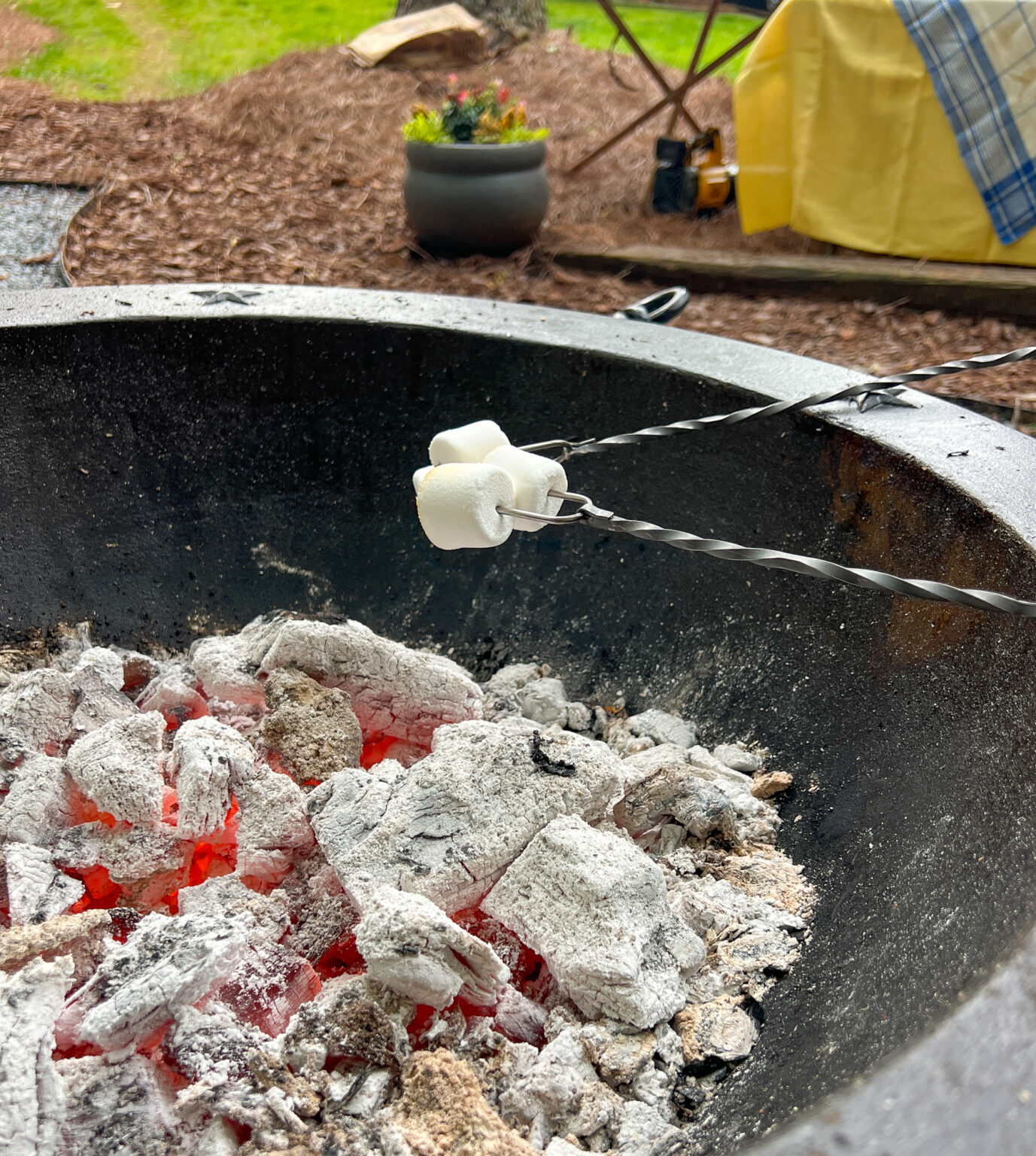 Sea Island Forge: The Cook | Red Clay Soul