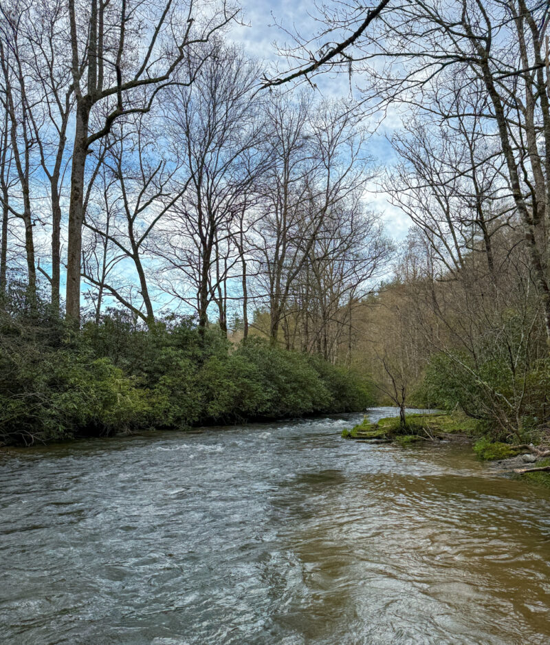 36 Hours in North Carolina | Red Clay Soul