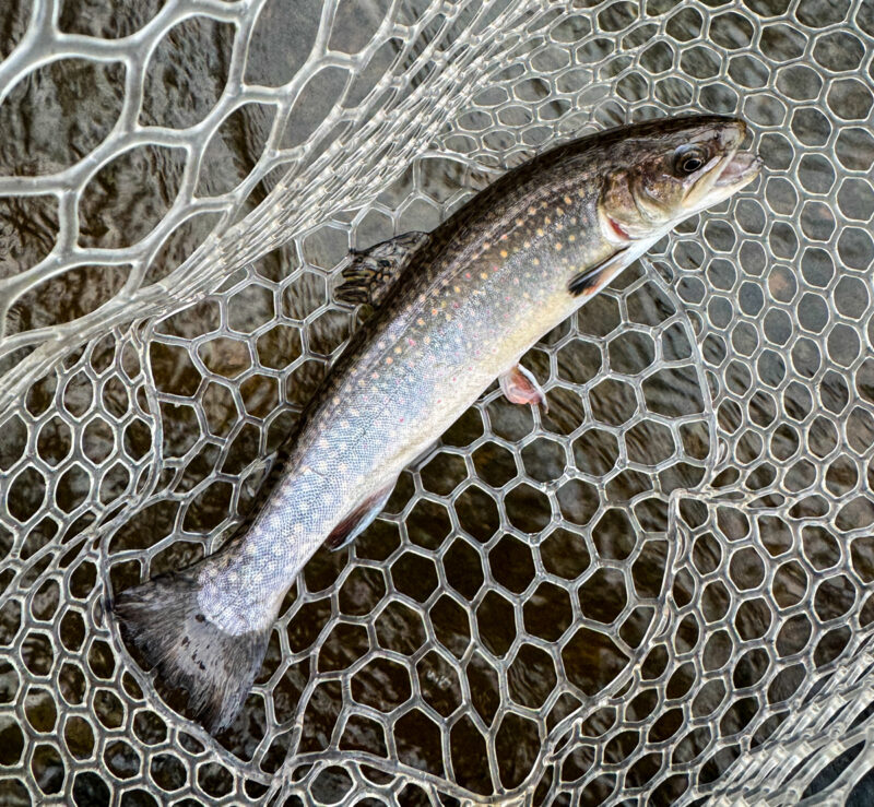 36 Hours in North Carolina | Red Clay Soul