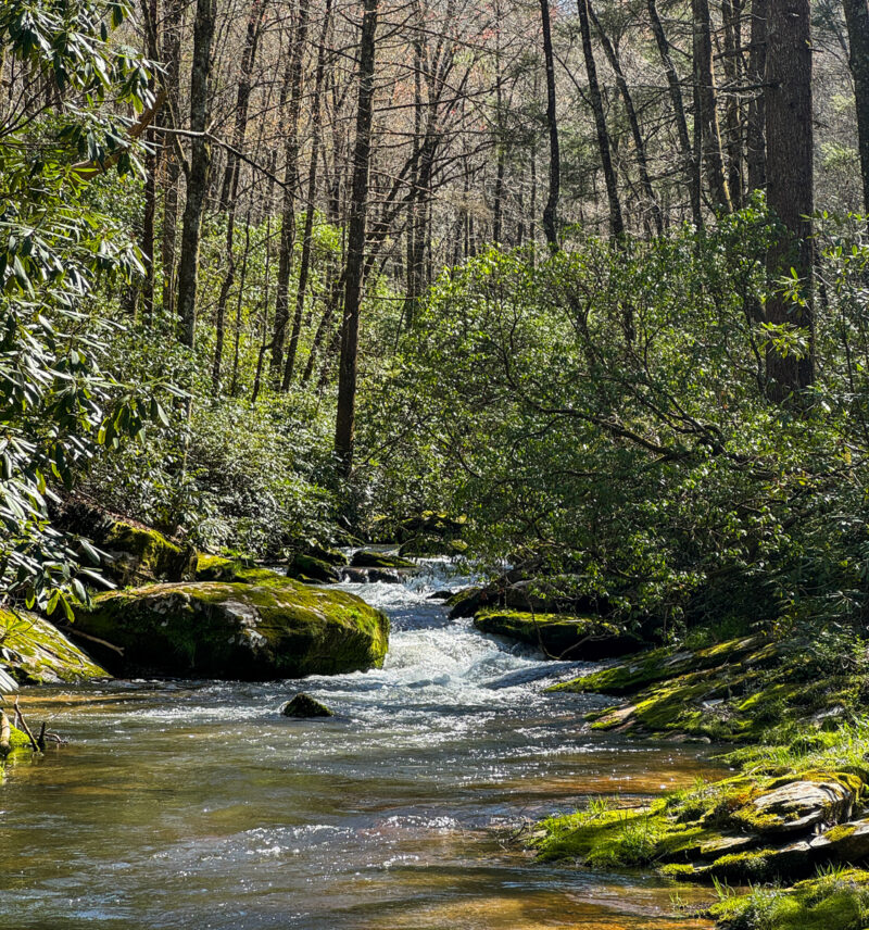 36 Hours in North Carolina | Red Clay Soul