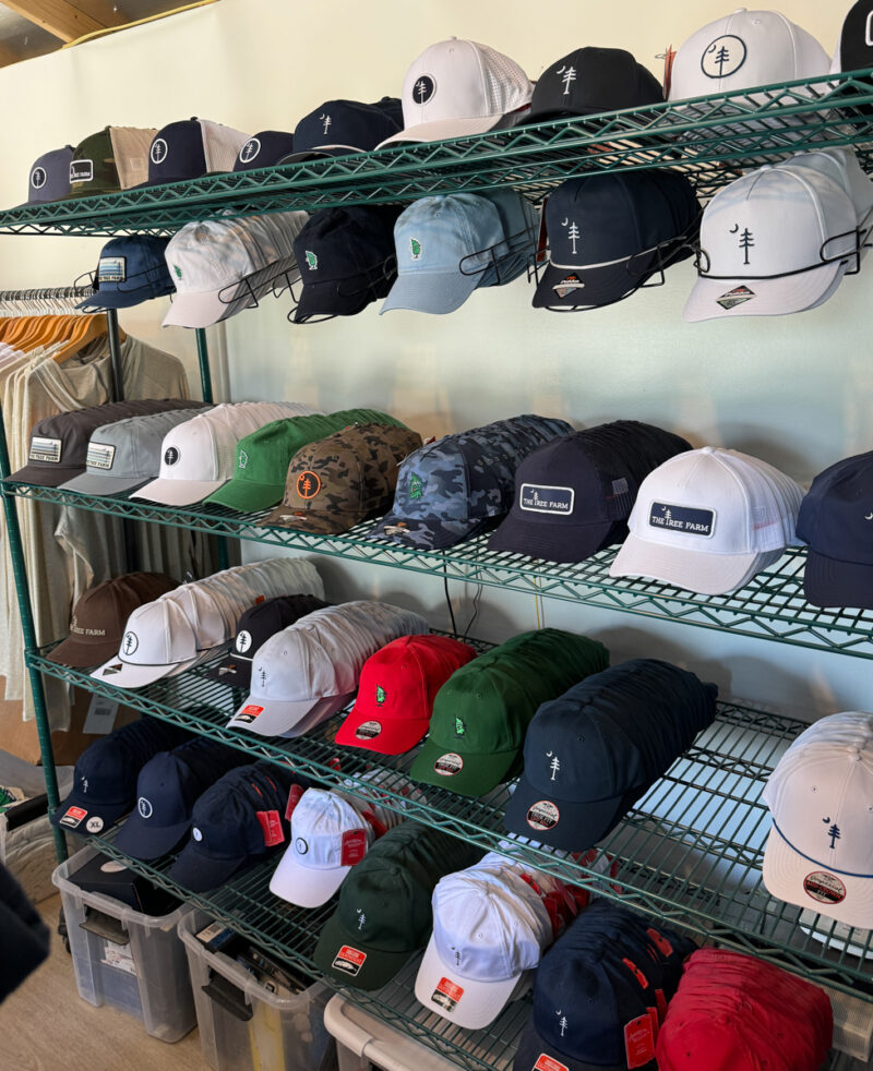 The Tree Farm Experience | Red Clay Soul