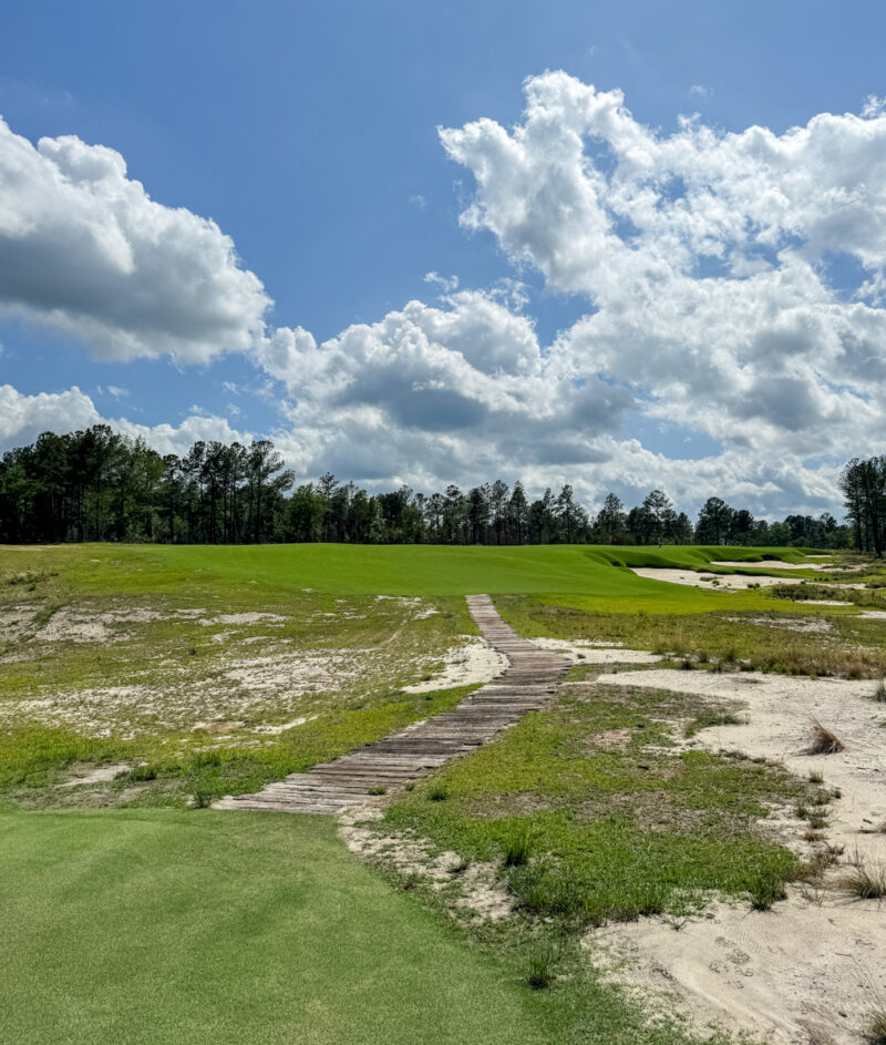 The Tree Farm Experience | Red Clay Soul