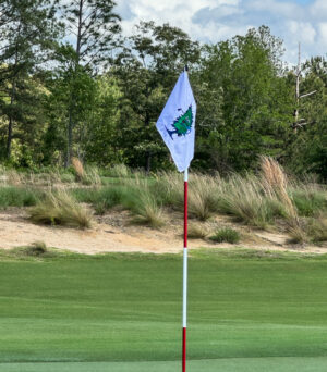 The Tree Farm Experience | Red Clay Soul