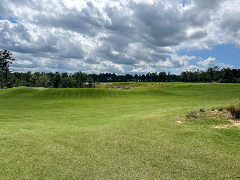 The Tree Farm Experience | Red Clay Soul