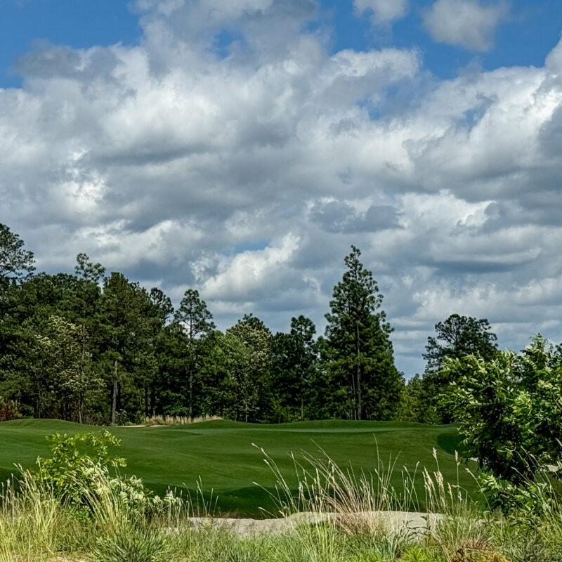 The Tree Farm Experience | Red Clay Soul