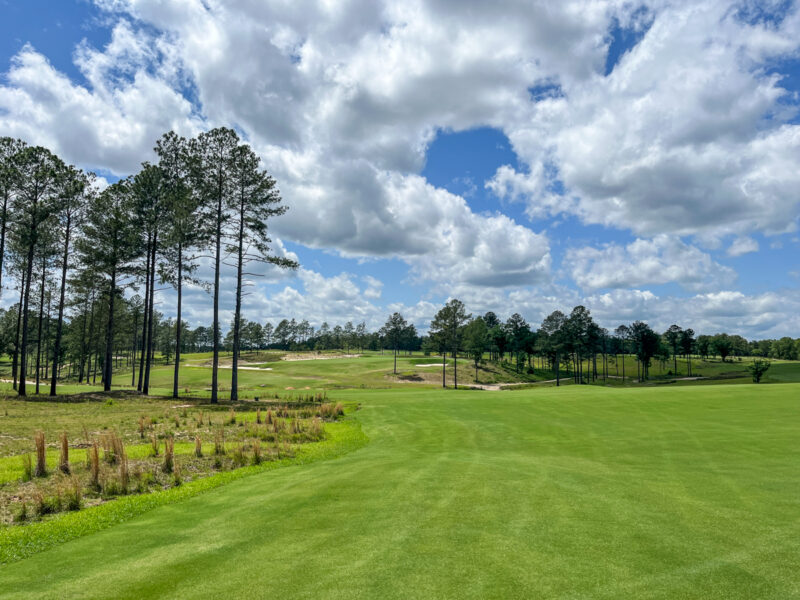 The Tree Farm Experience | Red Clay Soul