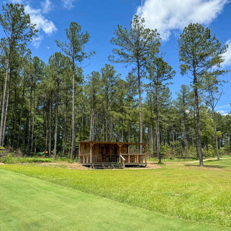 The Tree Farm Experience | Red Clay Soul