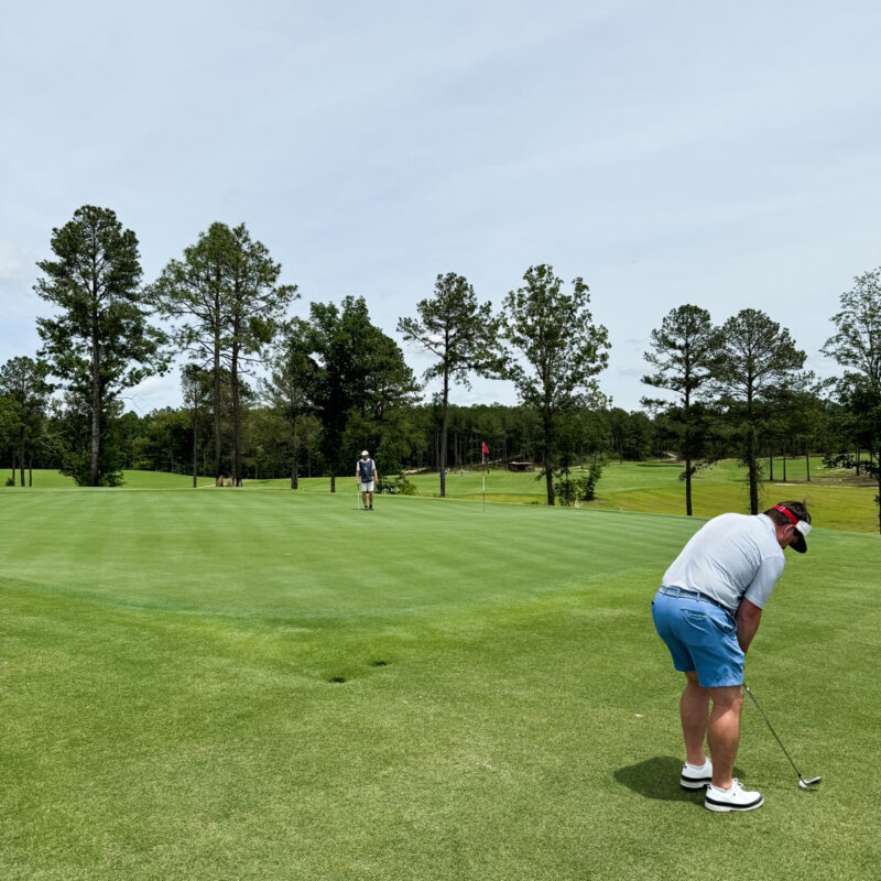 The Tree Farm Experience | Red Clay Soul