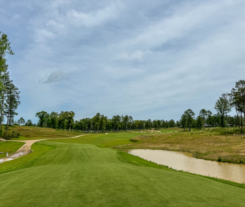 The Tree Farm Experience | Red Clay Soul