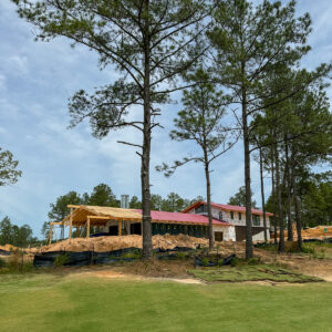 The Tree Farm Experience | Red Clay Soul