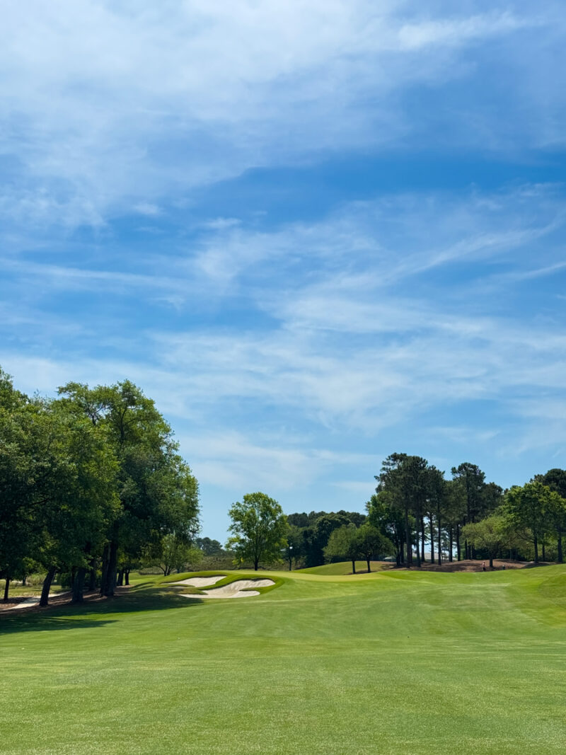Views: Eagle Point Golf Club | Red Clay Soul